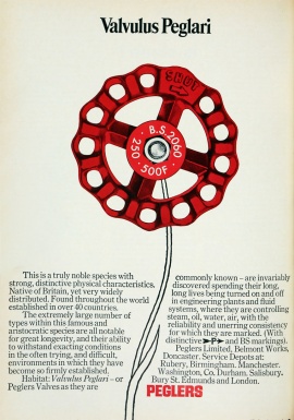 Peglers - Graces Guide