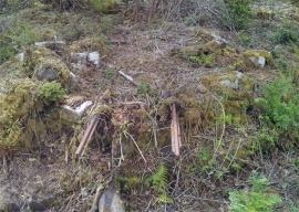 Tregargus Valley - Graces Guide