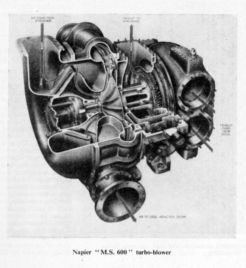 Napier - Graces Guide