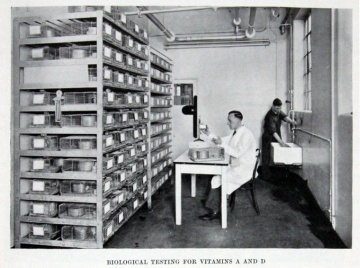 British Drug Houses (BDH) - Graces Guide