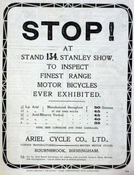 Ariel - Graces Guide