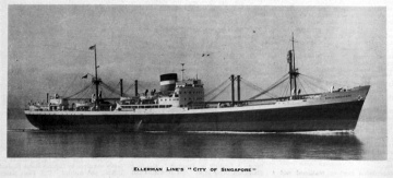 Ellerman Lines - Graces Guide