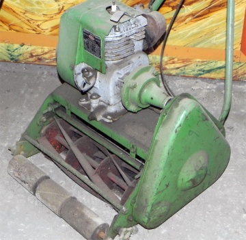 Suffolk Colt - Graces Guide