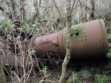 Marshall, Sons and Co: Steam Engines - Graces Guide